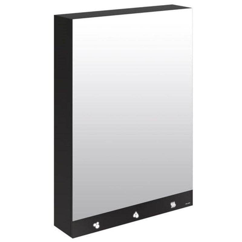 DELABIE 510203 Mirror Cabinet with 4 Functions Hand Dryer 600mm Wide ...
