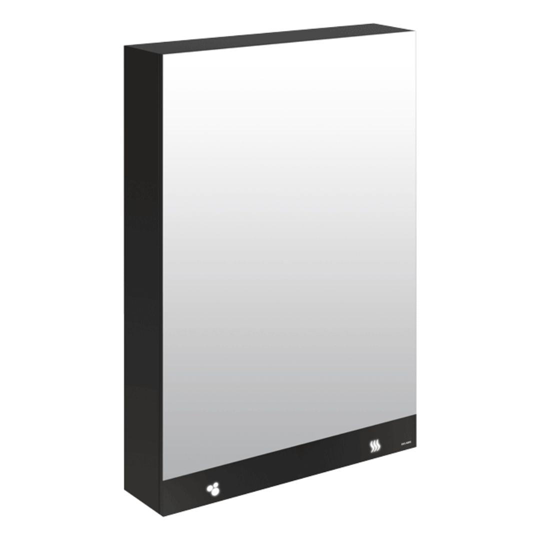DELABIE 510207 Mirror Cabinet with 3 Functions Hand Dryer 600mm Wide ...